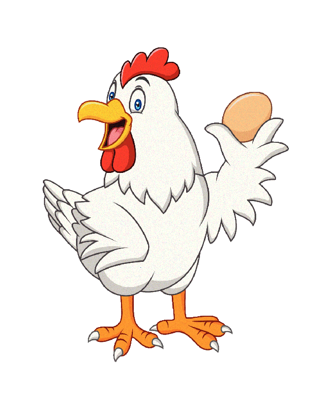 Texas Layers | Mother Clucker's HenHouse Store®